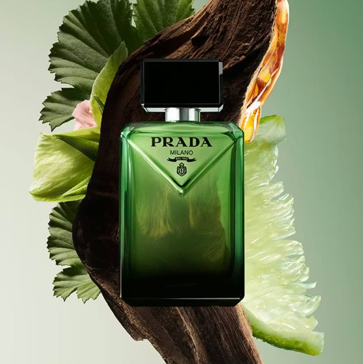 Prada PARADIGME Eau De Parfum 100ml ~~~~~~ | Island Competitions